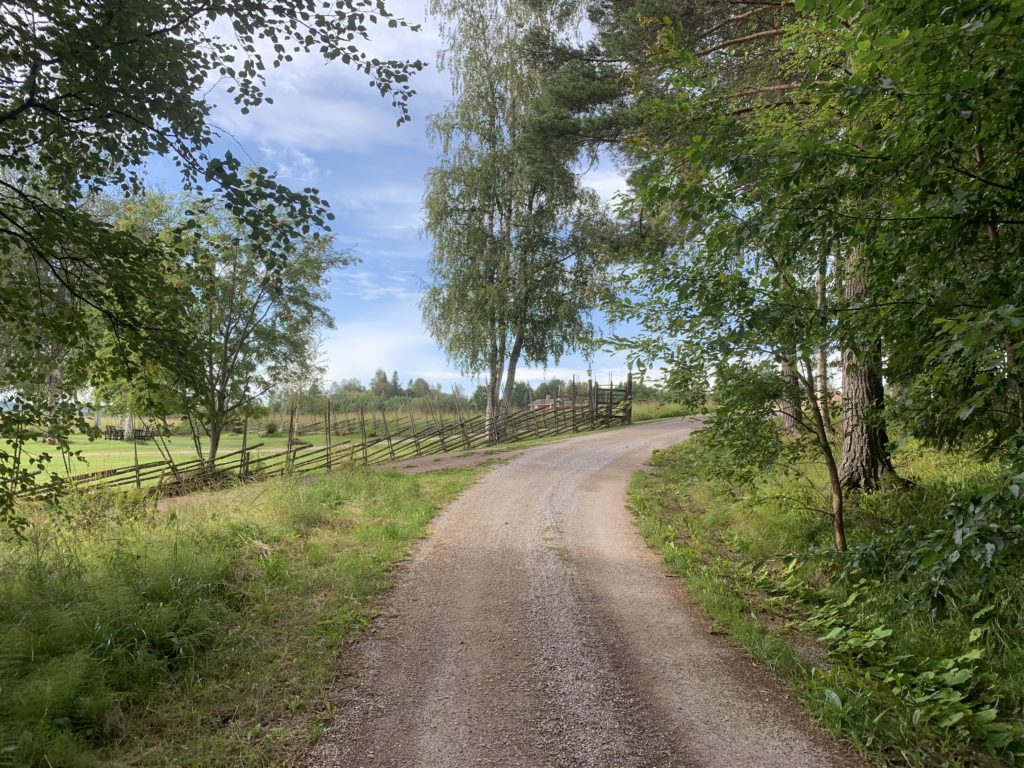 Matsmältningsproblem och dans i regnet - Masesgården blogg